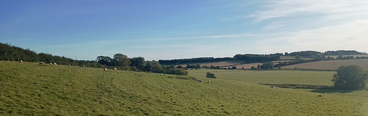 Asthall walk – WEST OXFORDSHIRE FIELD CLUB