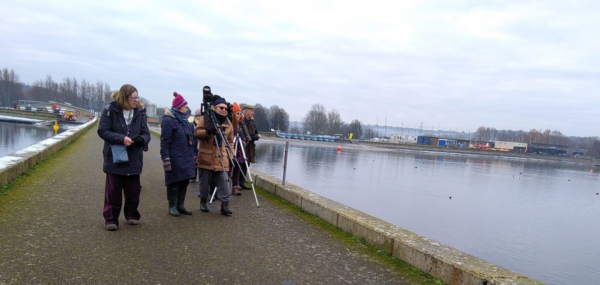 Farmoor Reservoir – WEST OXFORDSHIRE FIELD CLUB