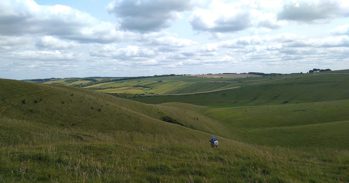Hackpen Hill – WEST OXFORDSHIRE FIELD CLUB